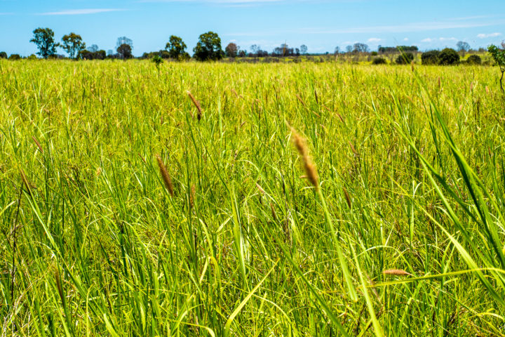 "El Rocco", Roundstone, Moura, Qld - Hourn & Bishop Qld