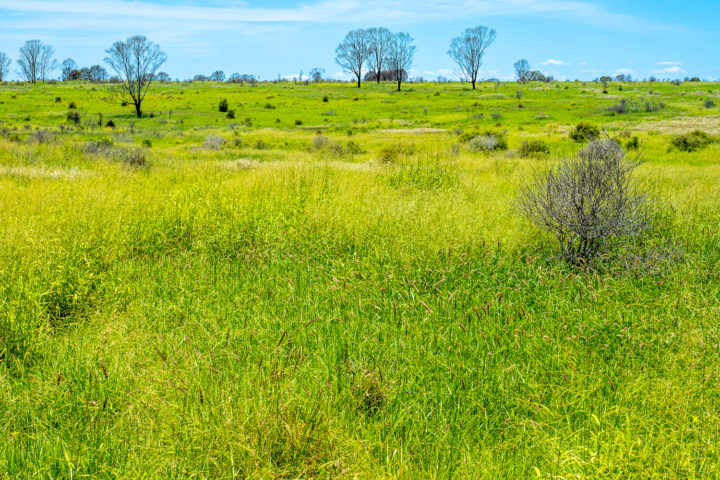 "El Rocco", Roundstone, Moura, Qld - Hourn & Bishop Qld