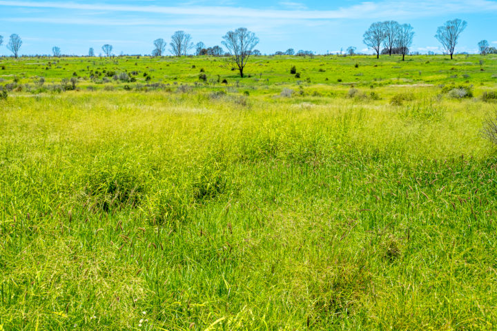 "El Rocco", Roundstone, Moura, Qld - Hourn & Bishop Qld