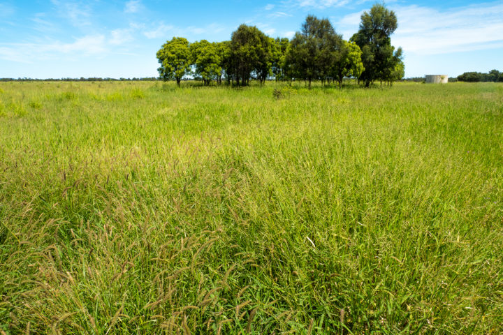 "El Rocco", Roundstone, Moura, Qld - Hourn & Bishop Qld