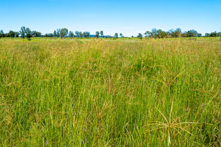 "El Rocco", Roundstone, Moura, Qld - Hourn & Bishop Qld